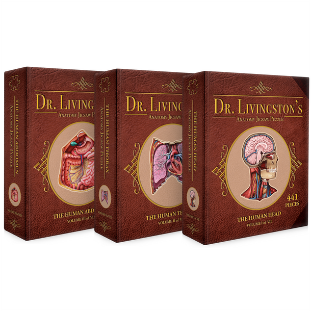 Bundle - Human Anatomy Jigsaw Puzzle Set of Head, Thorax and Abdomen ...