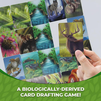 Ecosystem | A Card Game about Animals, Habitats, and Biodiversity ...