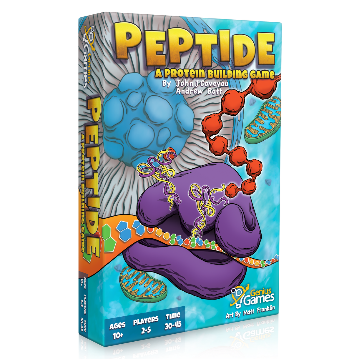 Peptide: A Protein Building Game | A Strategy Card Game with Accurate ...