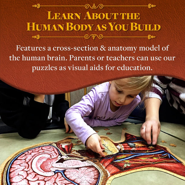 Human Head Anatomy Jigsaw Puzzle | Unique Shaped Science Floor Puzzles ...
