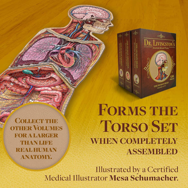 Human Head Anatomy Jigsaw Puzzle | Unique Shaped Science Floor Puzzles ...