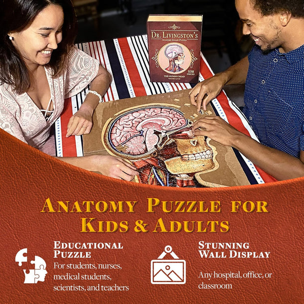 Human Head Anatomy Jigsaw Puzzle | Unique Shaped Science Floor Puzzles ...