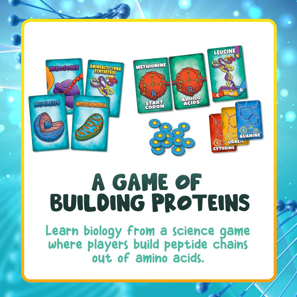 Peptide: A Protein Building Game | A Strategy Card Game with Accurate ...