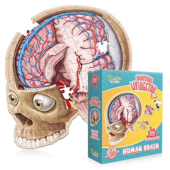 Accurate Human Anatomy Floor Puzzles | 500 Pieces | Human Body Puzzles ...