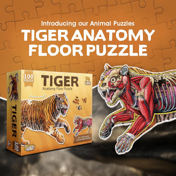 Accurate Human Anatomy Floor Puzzles | 500 Pieces | Human Body Puzzles ...