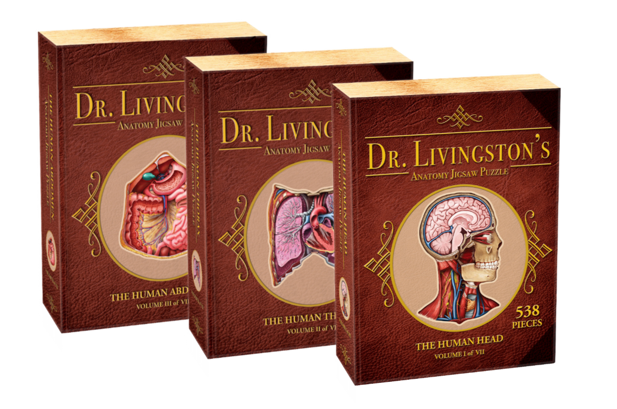 Bundle - Human Anatomy Jigsaw Puzzle Set of Head, Thorax and Abdomen ...