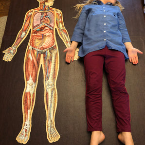 Accurate Human Anatomy Floor Puzzles | 500 Pieces | Human Body Puzzles ...