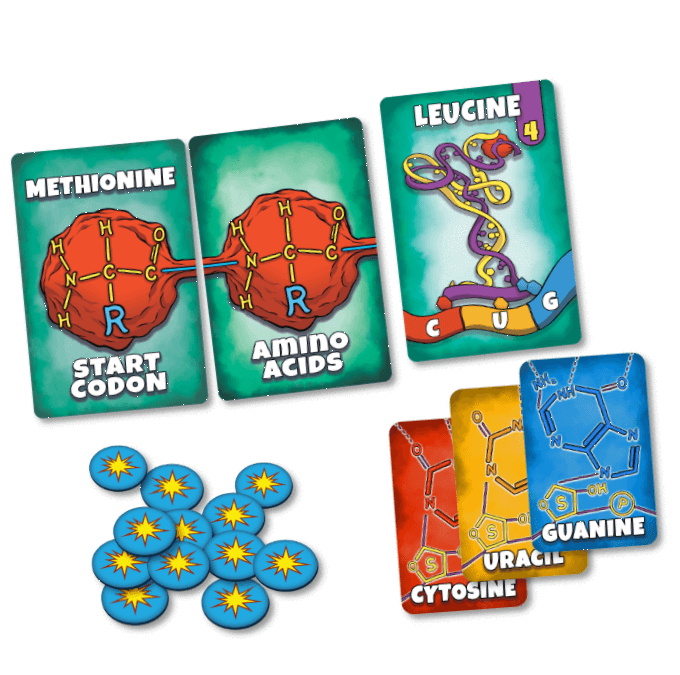 Peptide: A Protein Building Game | A Strategy Card Game with Accurate ...