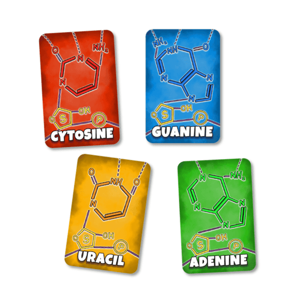 Peptide: A Protein Building Game – Genius Games
