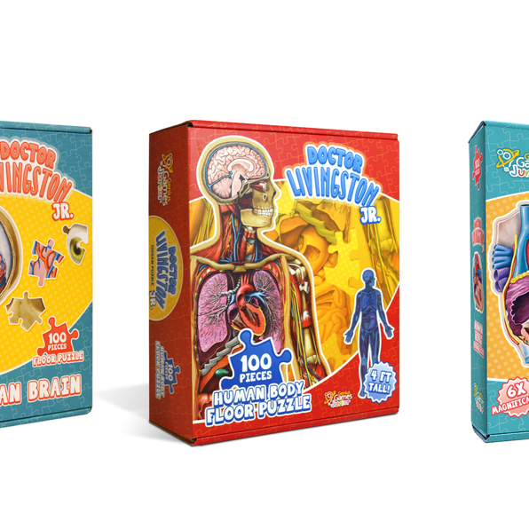 Accurate Human Anatomy Floor Puzzles | 500 Pieces | Human Body Puzzles ...